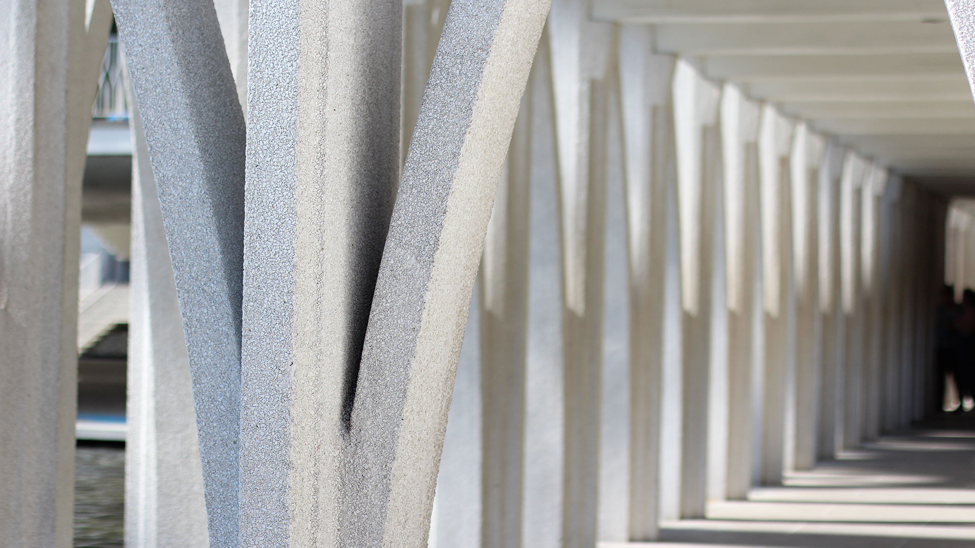 PacSci Courtyard Project - Pacific Science Center
