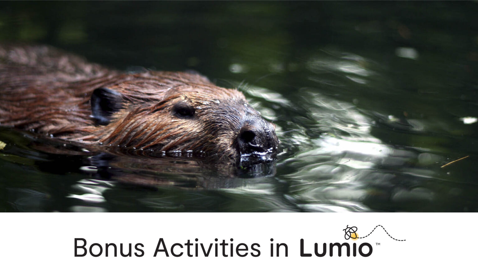 Digital Discovery Workshop Teacher Toolkits - Pacific Science Center