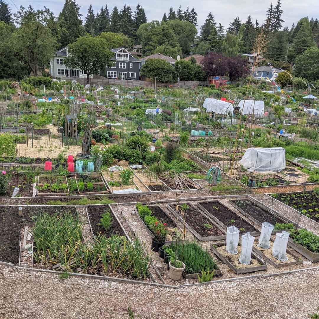 The A to Z of Free or Low-Cost Family Activities Around Seattle ...