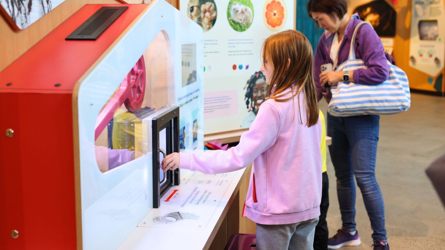 How PacSci’s Tropical Butterfly House Thrives Year-Round - Pacific ...