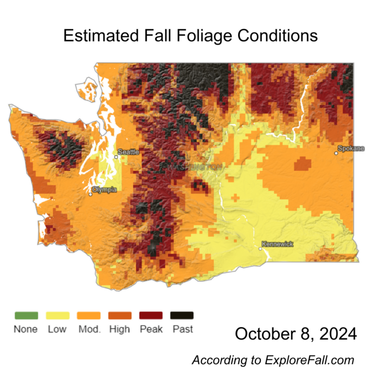 Why Do Leaves Change Colors and Fall Off Trees? - Pacific Science Center