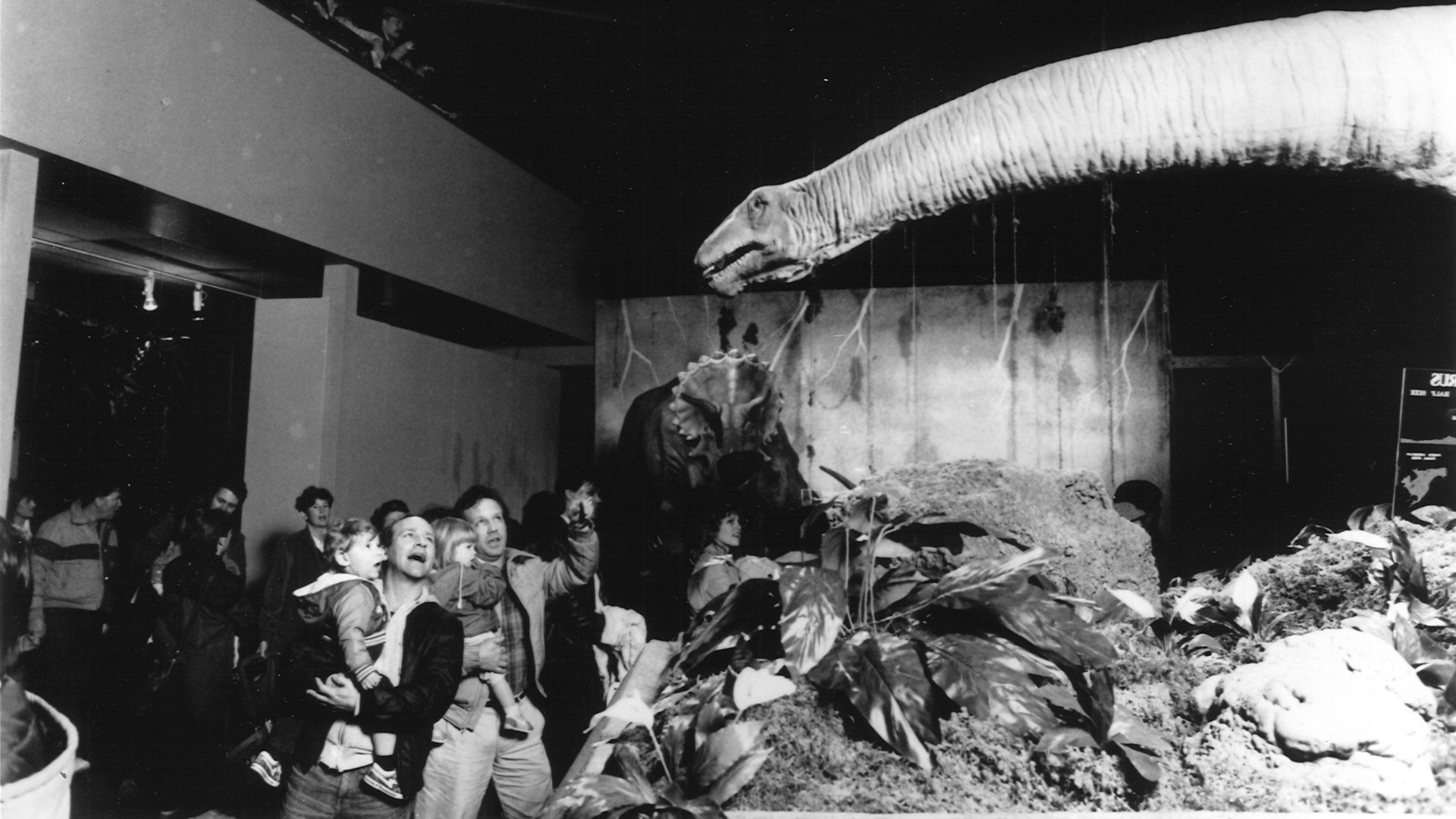 PacSci's Beloved Dinosaurs Are Looking for New Homes - Pacific Science ...