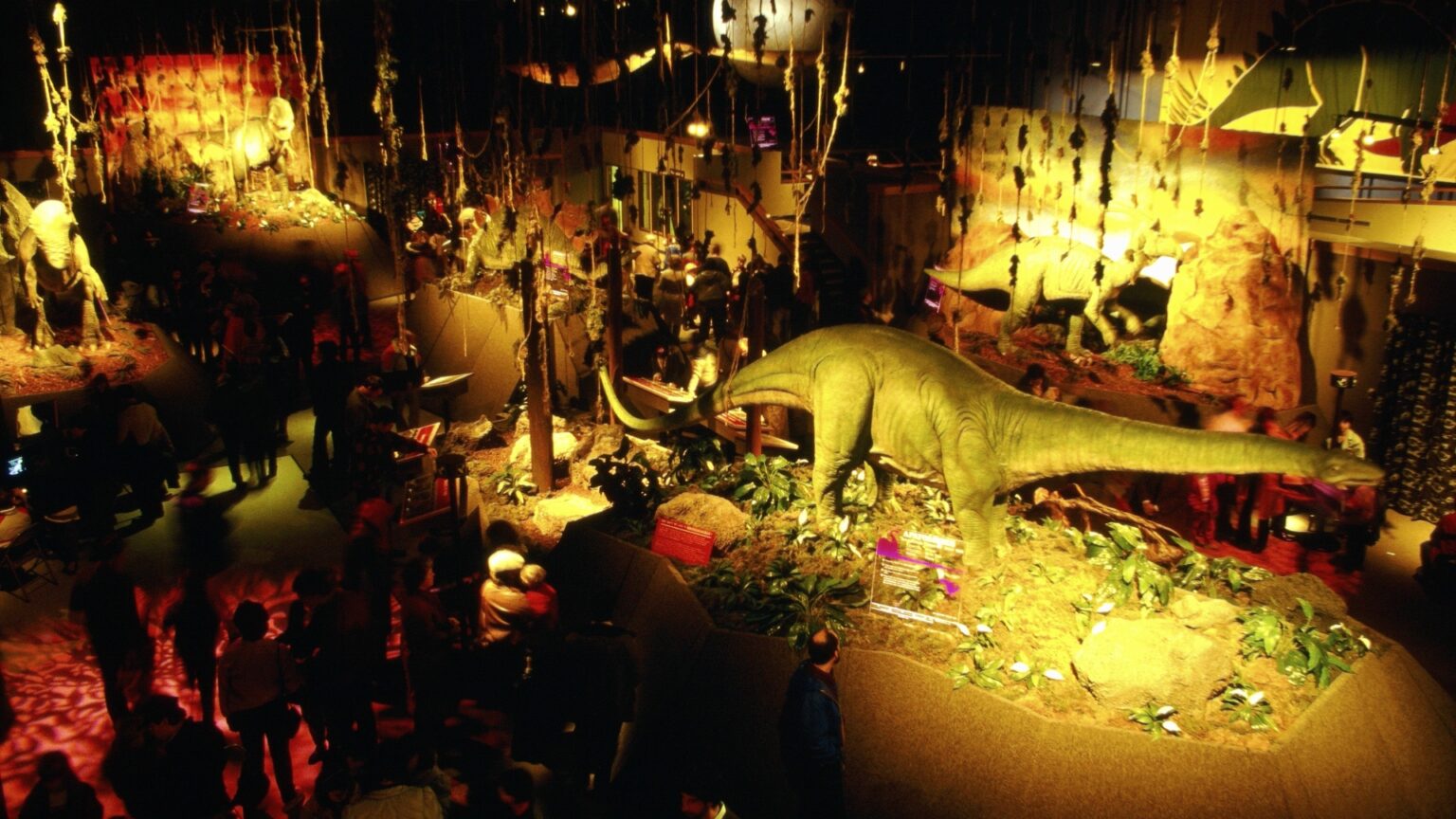 Remembering PacSci’s Beloved Dinosaurs - Pacific Science Center