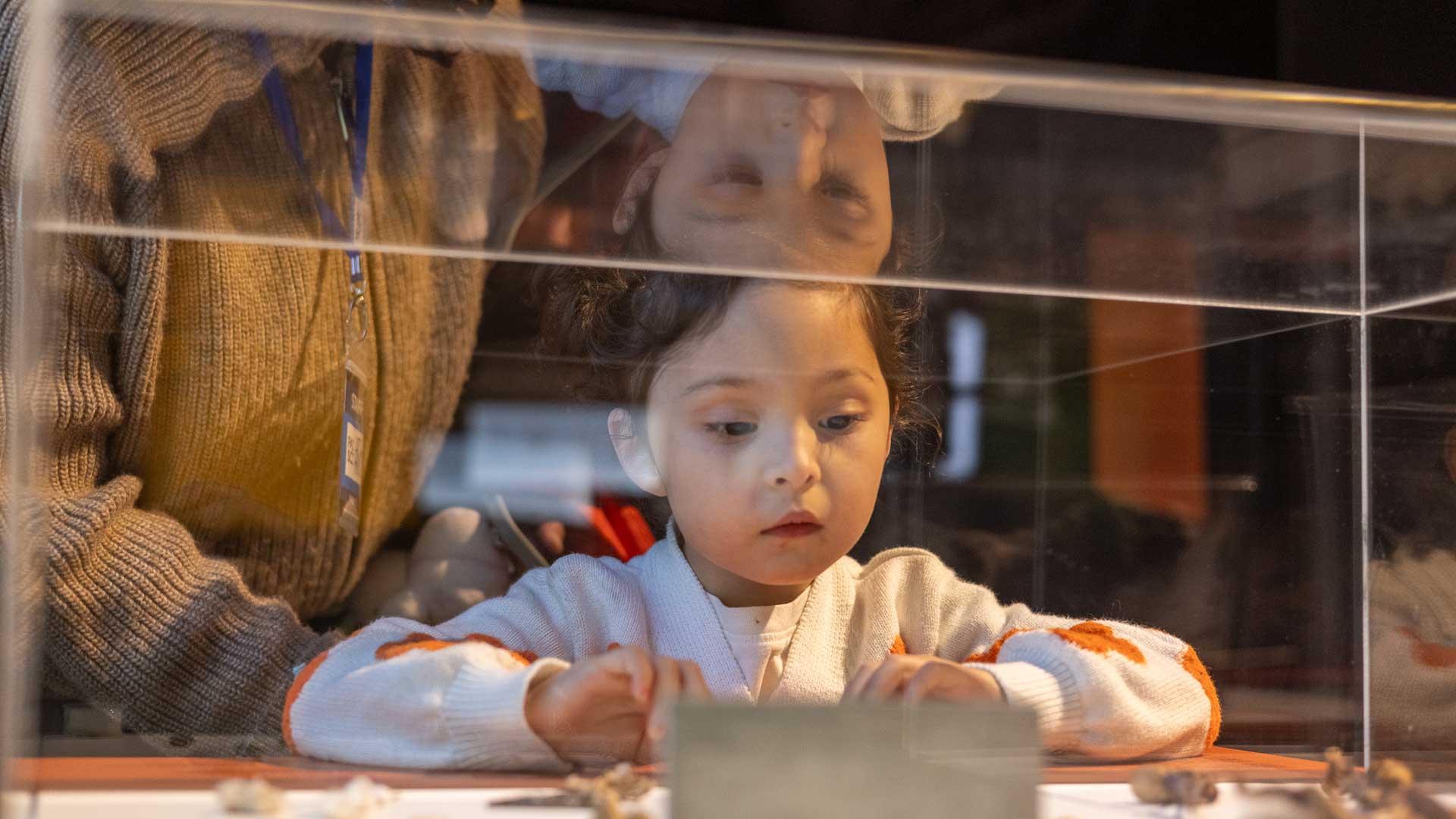 Pacific Science Center Unveils "Spiders: From Fear to Fascination ...